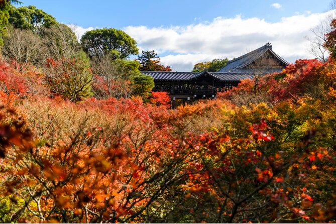 Early Bird E-Biking Through East Kyoto - Traveler Feedback and Ratings