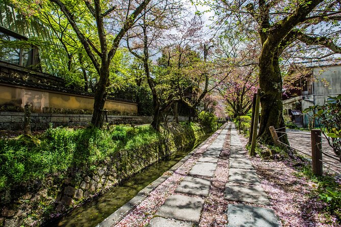Early Bird E-Biking Through East Kyoto - Guides and Tour Quality