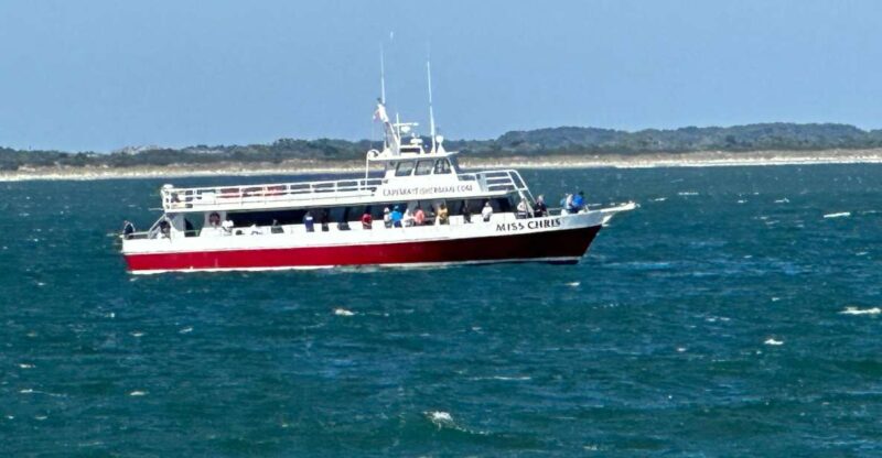 Early Bird Fishing - The Practicalities: Booking, Pricing, and Tips