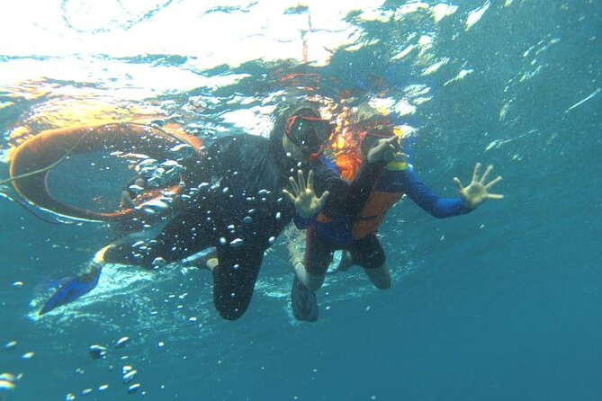 Early Bird Speedboat Group Tour : Explore Komodo Ahead of Crowds - FAQs