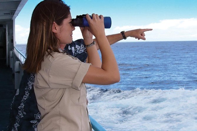 Early Bird Whale Watching Cruise From Waikiki - Booking Information and Pricing