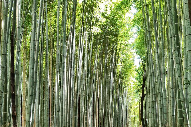 Early Half Day to Kyoto Highlights - The Sum Up