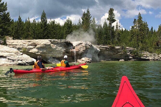 Early Morning Guided Kayak Tour - Who This Tour Is Best For