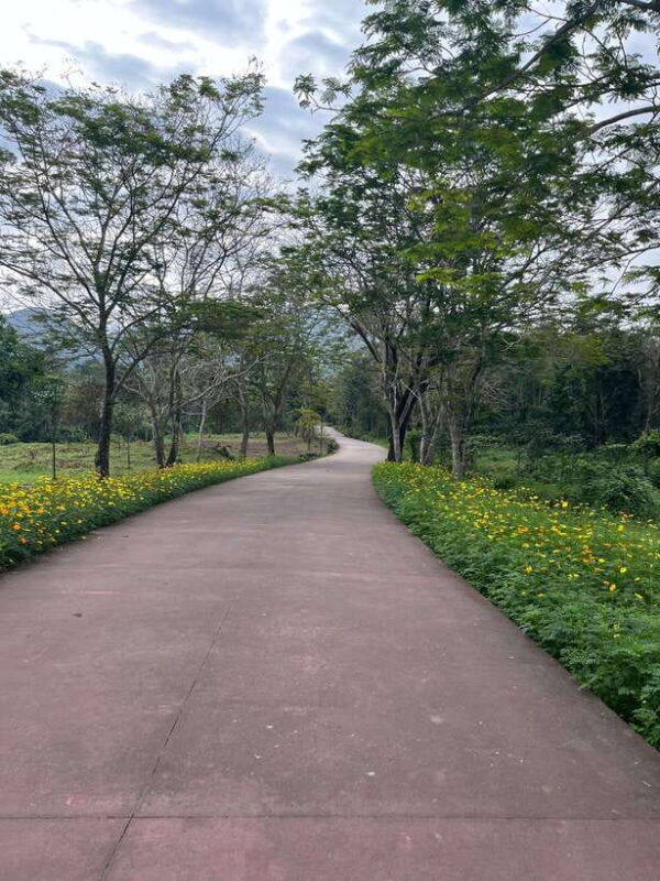 Early My Son tour/transfer to avoid crowd and the heat - Key Points