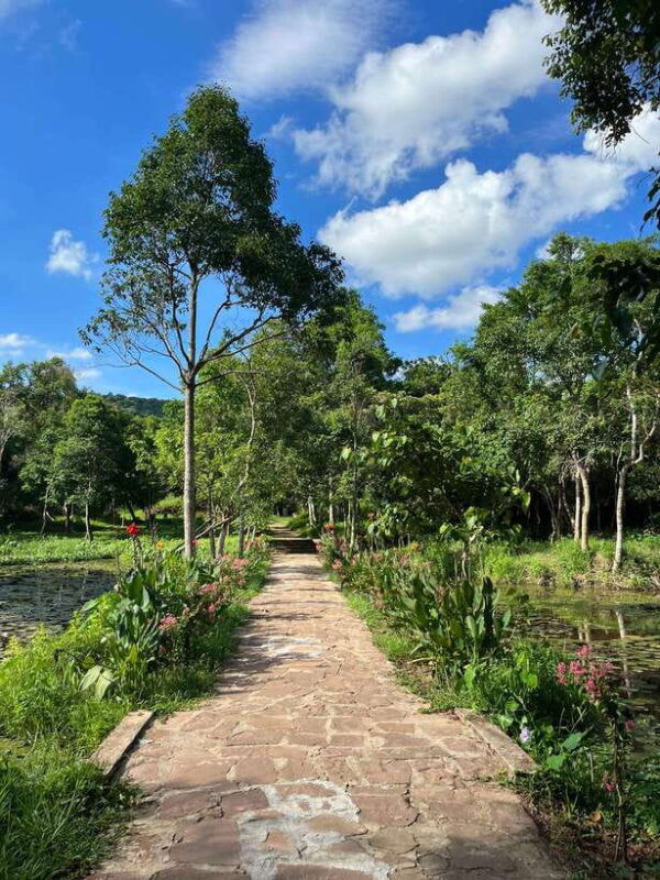 Early My Son tour/transfer to avoid crowd and the heat - Final Thoughts