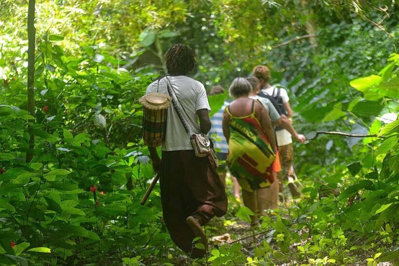 Earth Family Farms: Collier Gully Holistic River Nature Hike - An Authentic, Family-Run Experience in a Quiet Corner of Jamaica