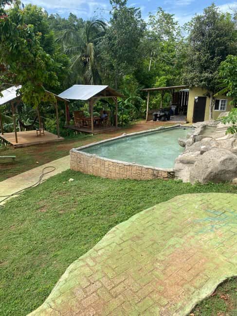 Earth Family Farms: Collier Gully Holistic River Nature Hike - The Value of This Experience