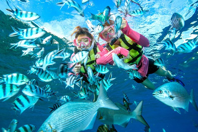 Easily Set Sail by Boat! / Blue Cave Snorkel - Booking and Cancellation Policy