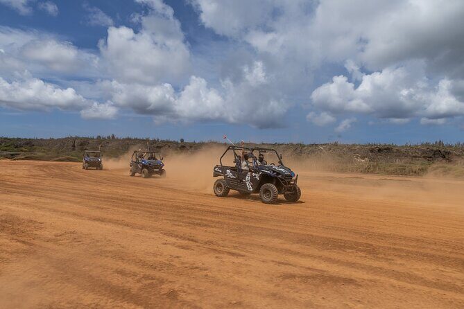 East ATV Tour in Curacao - Key Points