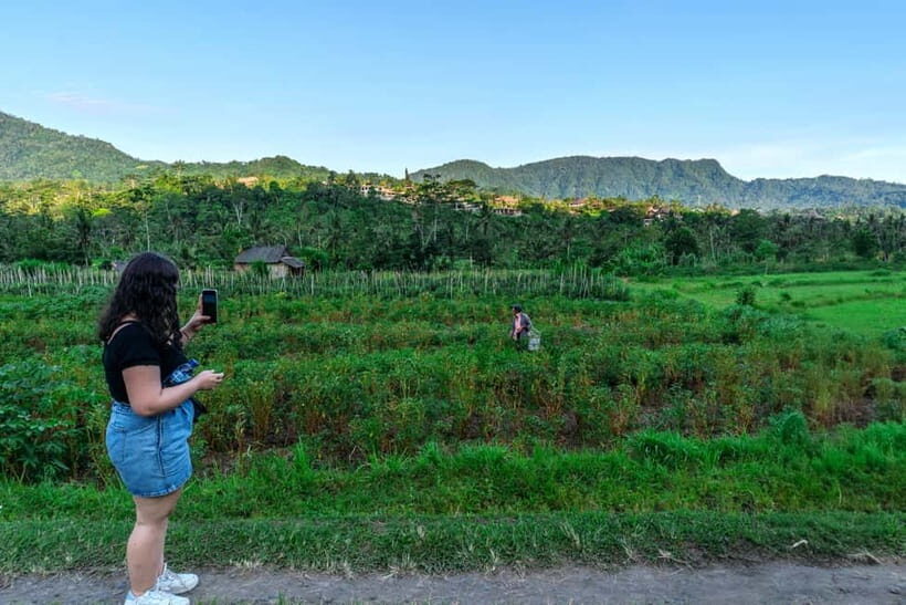 East Bali: Authentic Sidemen Rice Fields Walk & Snorkeling - Who Will Love This Tour?