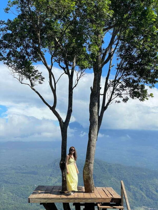 East Bali : Lahangan Sweet, Tirta Ganga, Rice Terrace - Final Thoughts: Who Is This Tour Perfect For?