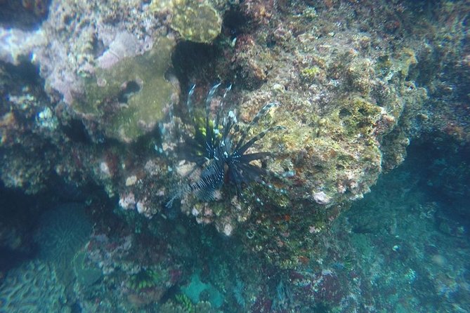 East Bali Spear Or Line Fishing Tour At Virgin Beach - Who Is This Tour Best Suited For?