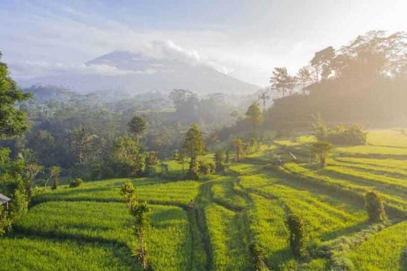 East BALI tour - Authentic Experiences and Local Flavor