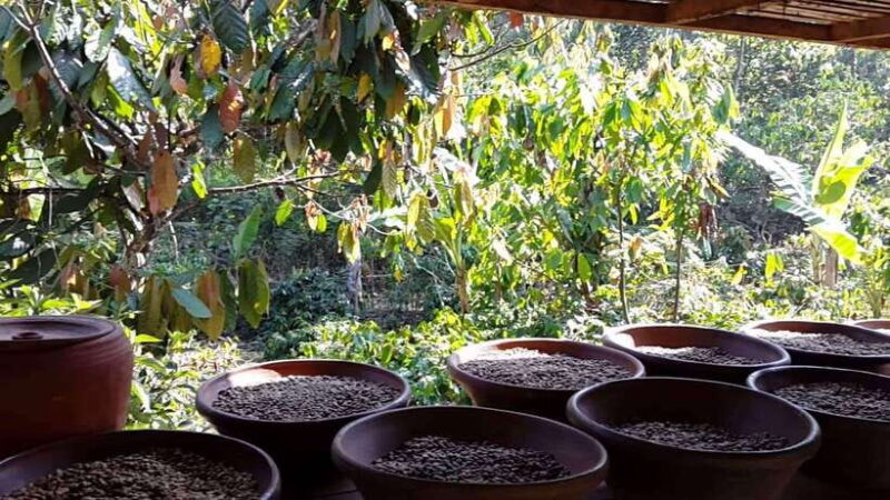 EAST BALI TRIP : BESAKIH TEMPLE/LAKE BATUR/TIRTA EMPUL - Authentic Experiences and Local Insights