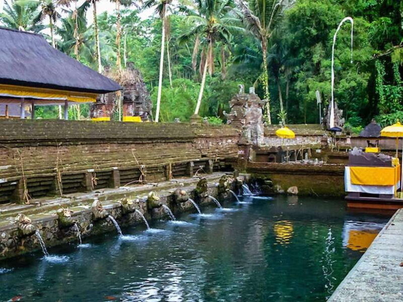 EAST BALI TRIP : BESAKIH TEMPLE/LAKE BATUR/TIRTA EMPUL - Who Would Benefit from This Tour?