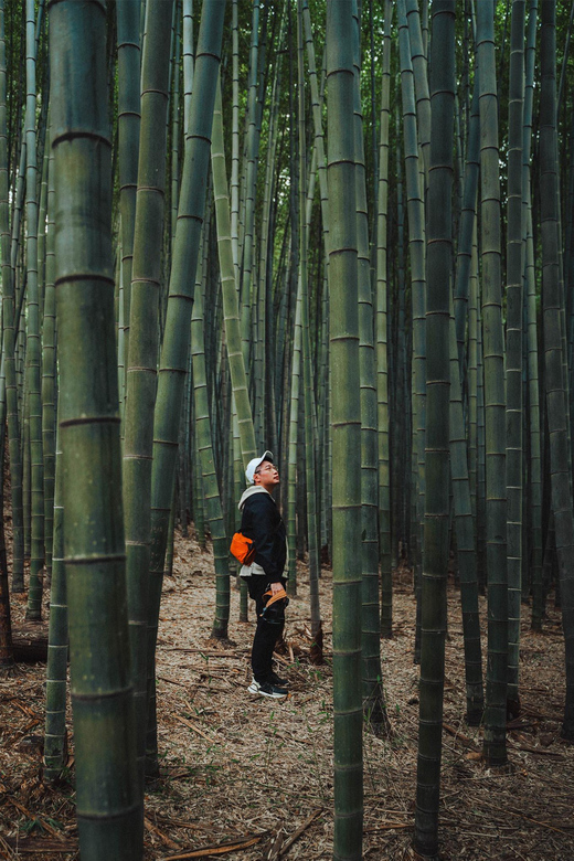 East Busan Small Group Photo Tour (Max 7 Pax) - What’s Included & What’s Not