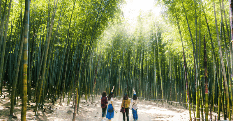 East Busan Small Group Photo Tour (Max 7 Pax) - Who Should Consider This Tour?