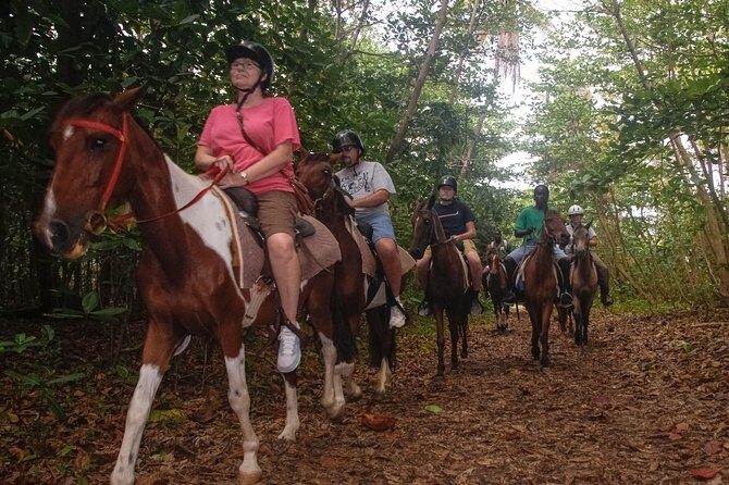 East Coast Horseback Riding & Waterfall Excursion - A Closer Look at the Tour Experience