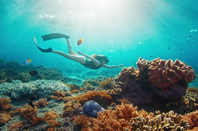 East Coast of Nusa Penida Private Snorkeling - An In-Depth Look at the Eastern Coast Snorkeling Experience