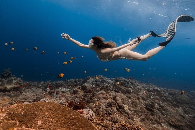 East Coast of Nusa Penida Private Snorkeling - The Sum Up: Who Is This Tour Best For?
