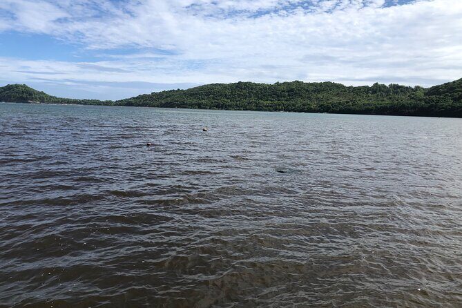 East Coast Private Island Day Trip Kayak & Picnic Experience - Analyzing the Value