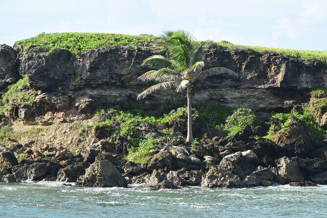 East Coast Private Tour of Barbados - A Detailed Look at the Tour Experience