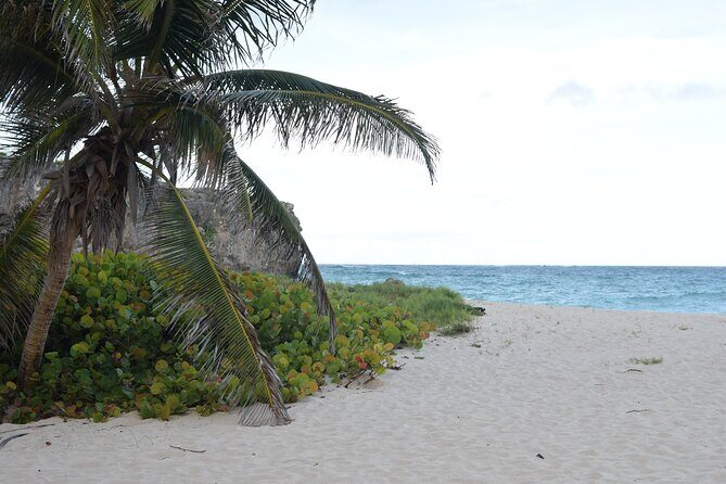 East Coast Private Tour of Barbados - FAQ