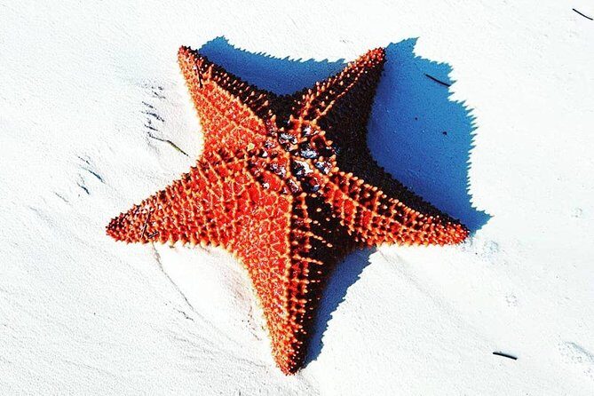 East End Private Day Trip Experience Tour - What Travelers Are Saying