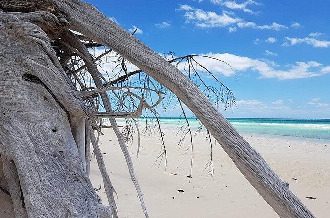 East End Private Day Trip Experience Tour - Who is This Tour Best For?