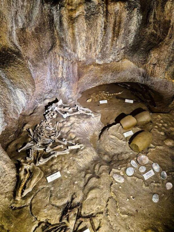 EAST JEJU: All Inclusive Private Tour w/ Taekwondo Show - Final Thoughts