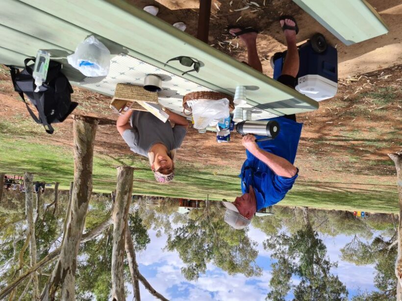East MacDonnell Ranges Tour -Small Group - An In-Depth Look at the East MacDonnell Ranges Small-Group Tour