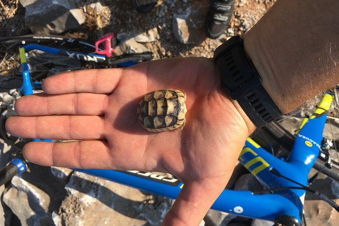 East Mani Road e-Bike Tour - Key Points