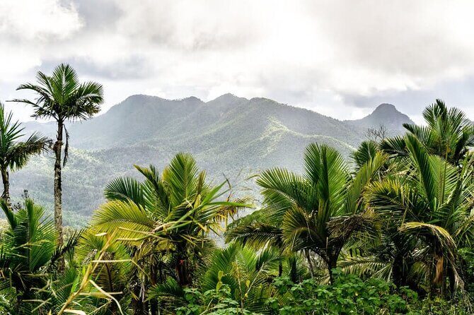 East Puerto Rico's Hidden Gems: Self-Guided Tour - The Sum Up