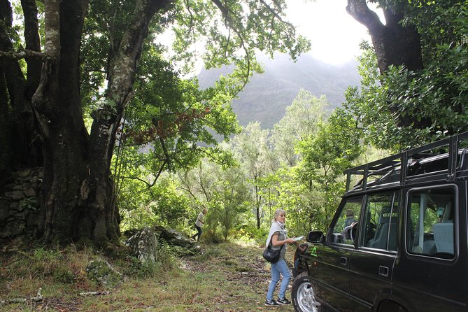 East Tour - 4x4 - Small Group - Tour Schedule