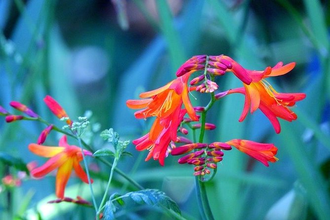 East Tour - 4x4 - Small Group - Highlights of the Tour