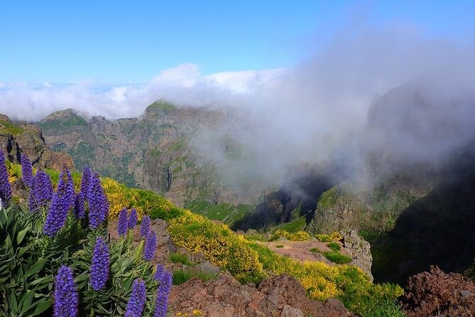 East Tour - 4x4 - Small Group - Reviews and Ratings