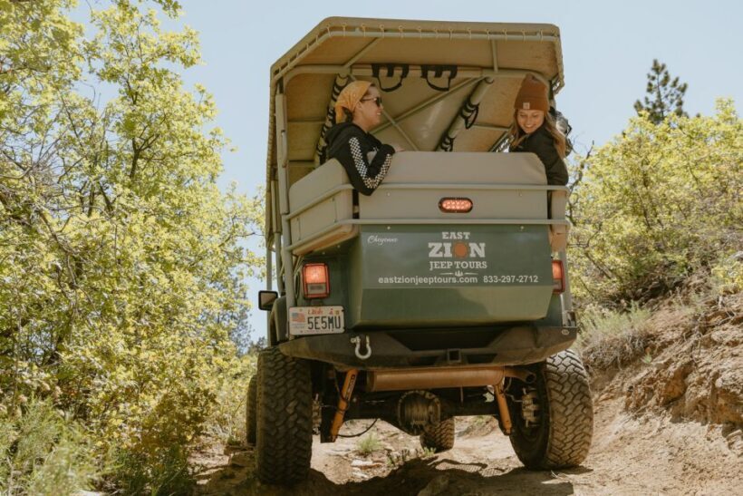 East Zion: 1-Hour East Rim Jeep Tour - What Makes This Tour Stand Out?