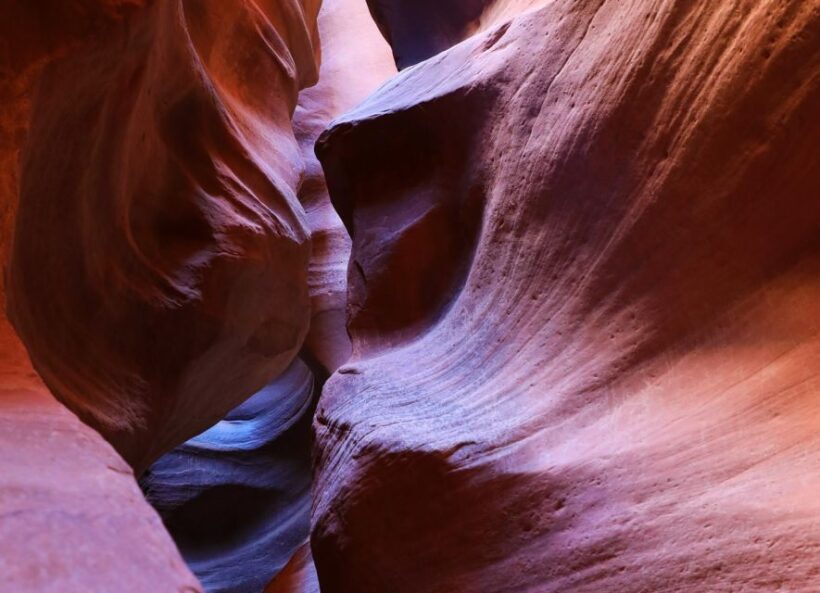 East Zion: Crimson Slot Canyon Exploration and UTV Tour - The Value for Money