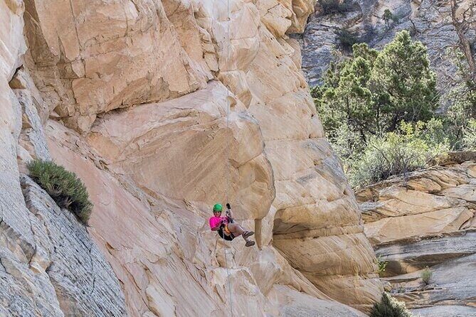 East Zion Elk Heart Cliffs Via Ferrata and Rappelling (3Hr) - Who Should Consider This Tour?