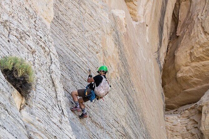 East Zion Elk Heart Cliffs Via Ferrata and Rappelling (3Hr) - FAQs