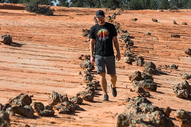 East Zion Outback UTV Tour with Licensed Guide - What Travelers Say (Based on Reviews)
