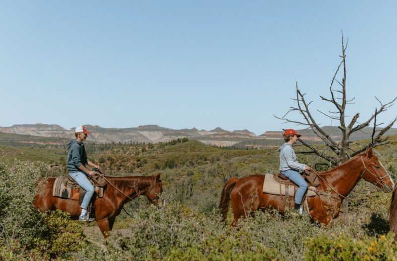 East Zion: Pine Knoll Horseback Tour - Key Points
