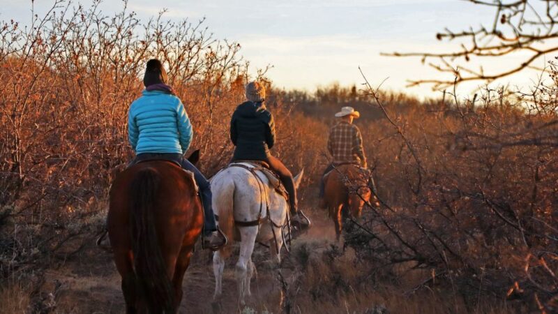 East Zion: Pine Knoll Horseback Tour - The Ride Itself: What to Expect