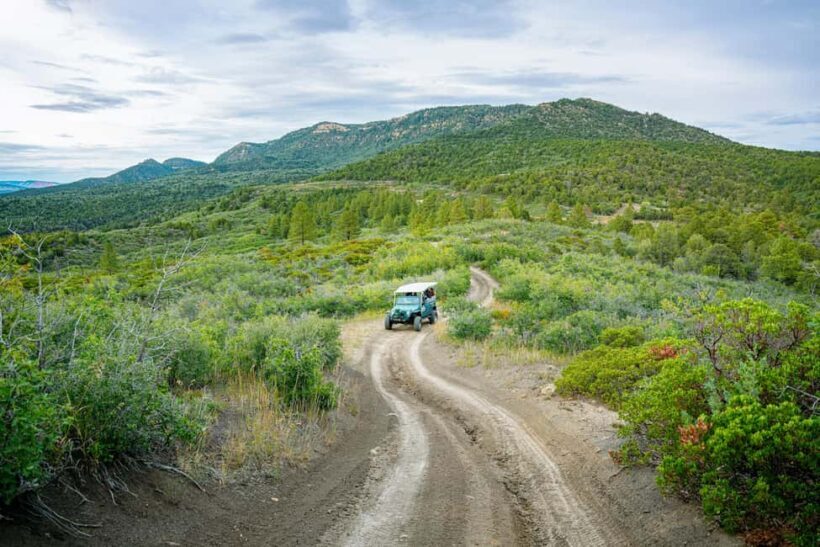 East Zion: Sunset, S'mores, and Stargazing Jeep Experience - Final Thoughts