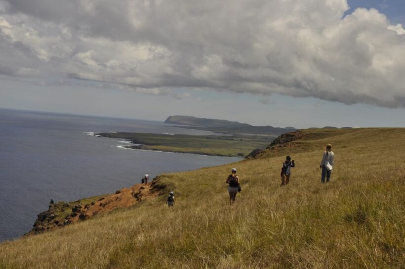 Easter Island: Poike Volcano Private Hiking Tour with Guide - What to Expect On the Ground