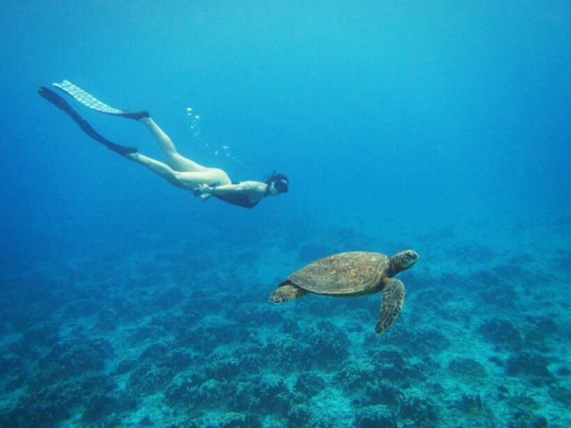 Easter island: Snorqueling tour on coral reefs - Discovering Rapa Nui’s Underwater Magic: Snorkeling on Coral Reefs