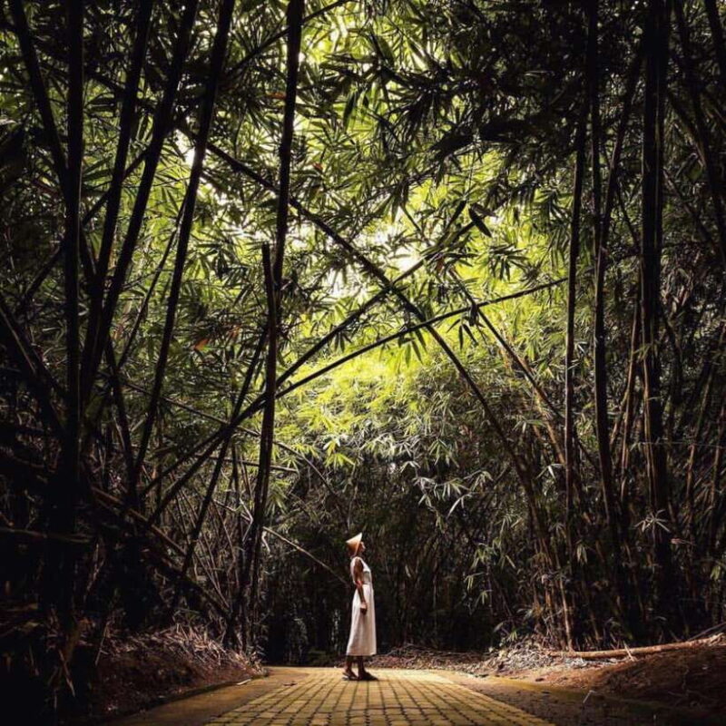 Eastern Bali and Pura Besakih Temple Tour - Why This Tour Works Well