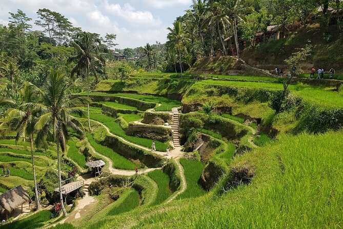 Eastern Bali Private Full-Day with Gate of Heaven Tour - Who Is This Tour Best For?