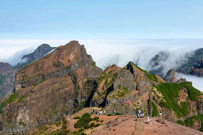 Eastern Madeira Sustainable Tour in a 4x4 with Lunch - Coastal Marvel at Ponta de São Lourenço