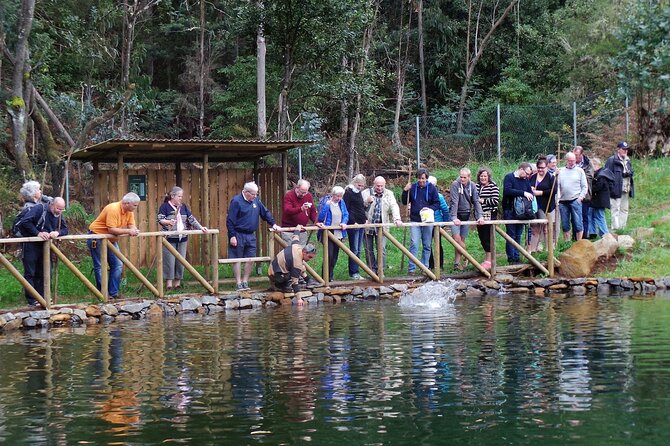 Eastern Madeira Sustainable Tour in a 4x4 with Lunch - Final Thoughts on Value and Experience